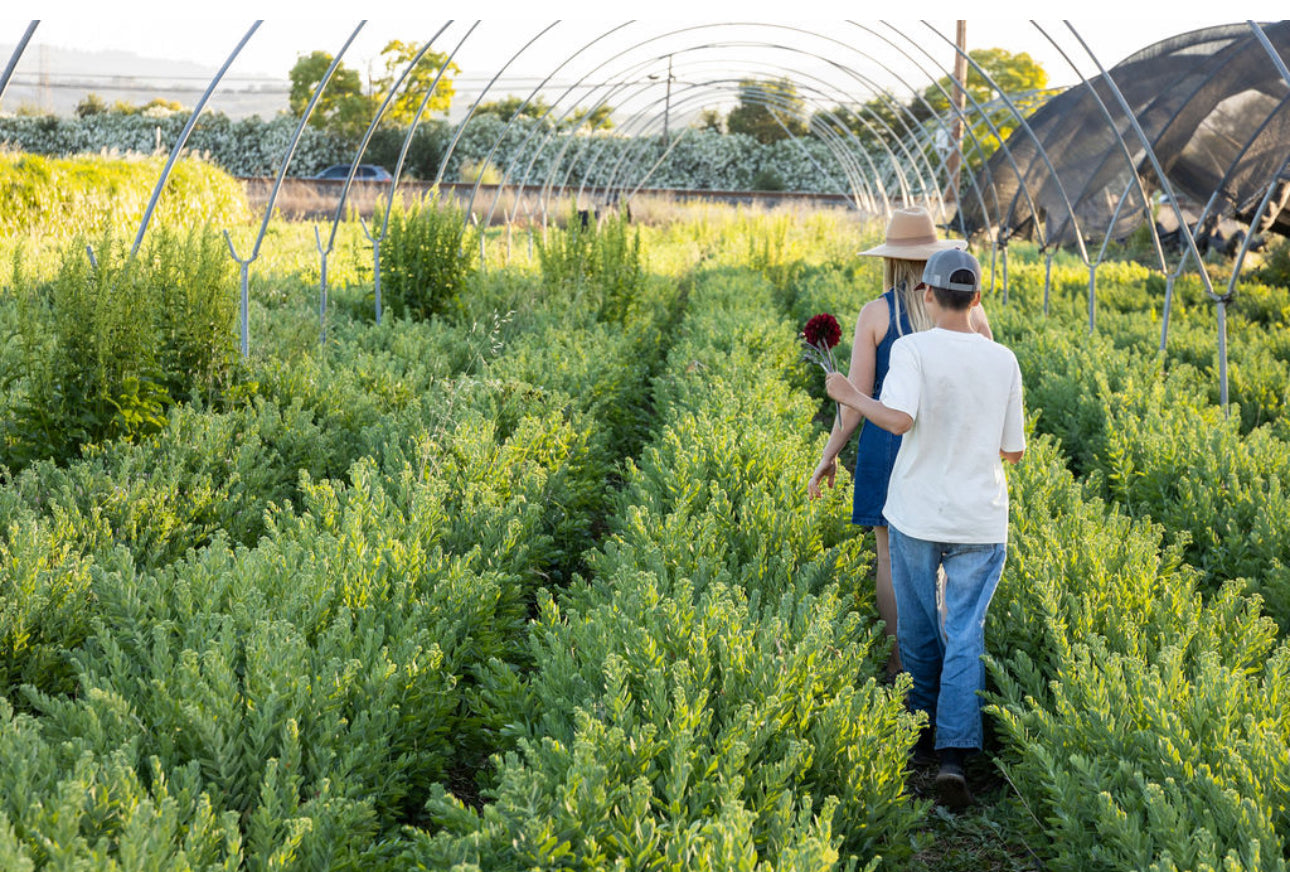 Discover how Jenny Barker, The Flower Doctor, grows and ships farm ...