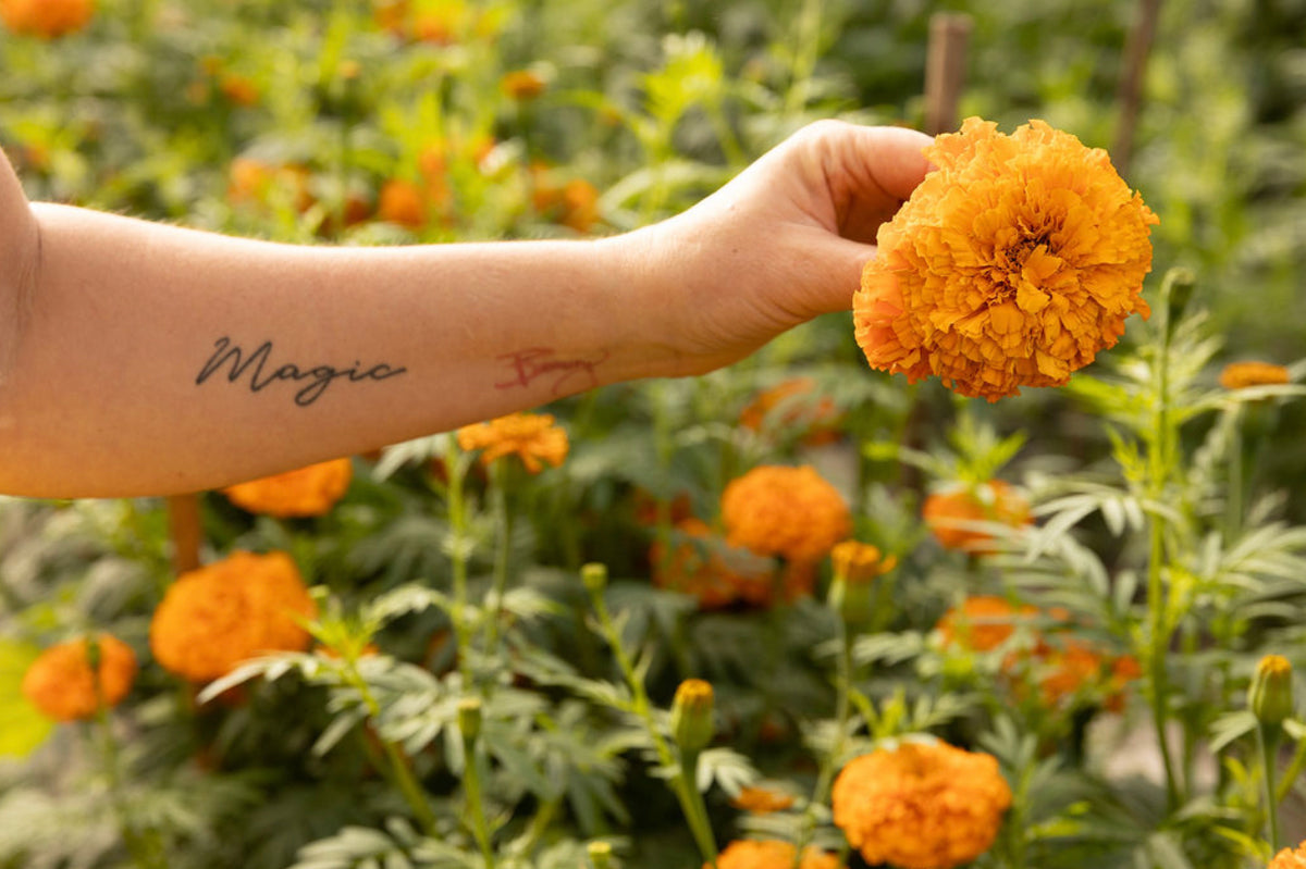 The Flower Prescription – Jenny Barker The Flower Doctor