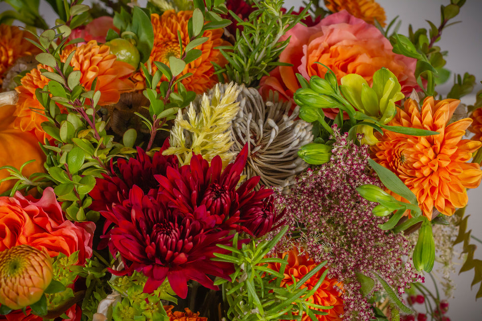 About Us – Jenny Barker The Flower Doctor