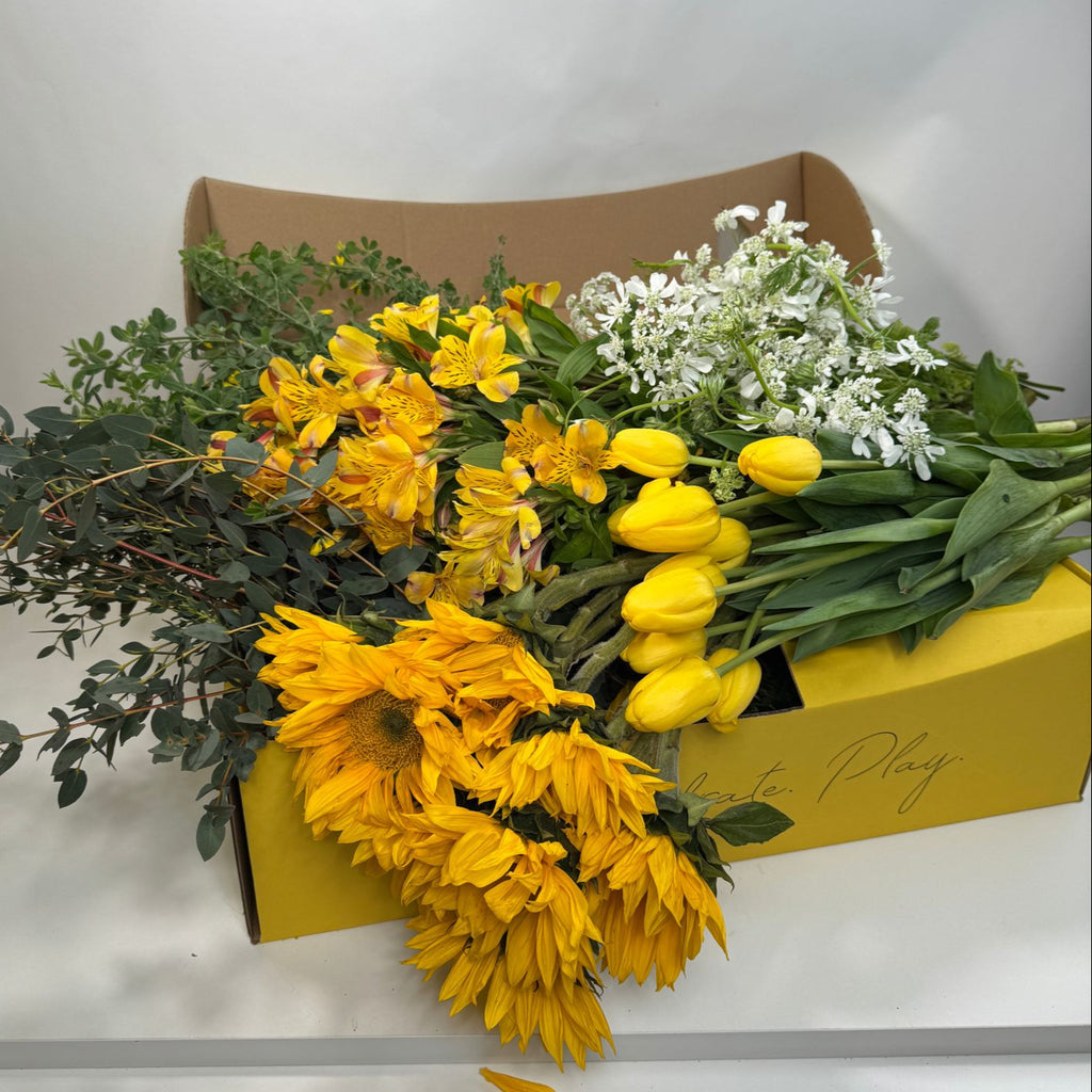 Flower RX: Feel Good Flower Box – Jenny Barker The Flower Doctor