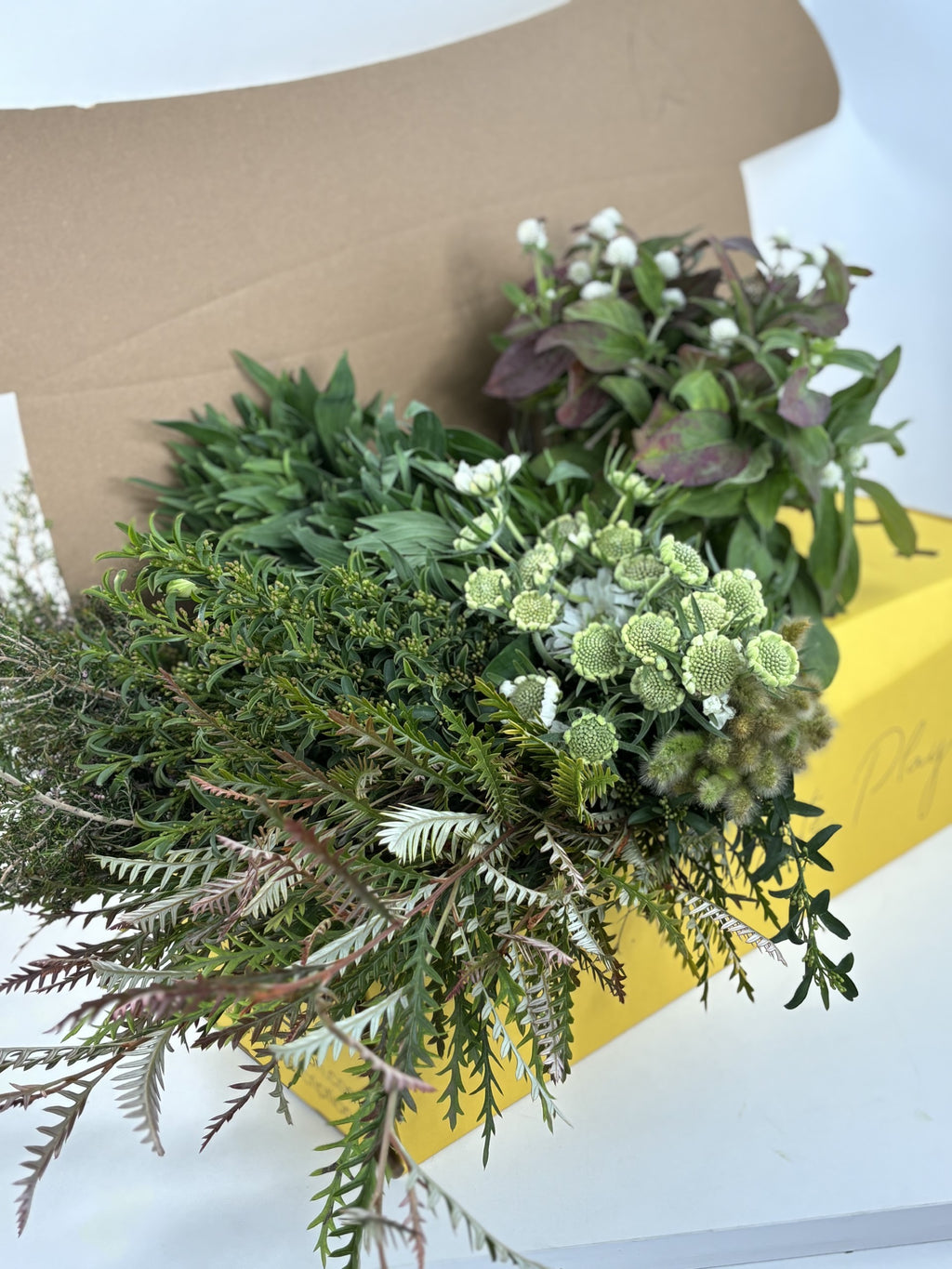 I'm Sorry Box – Jenny Barker The Flower Doctor