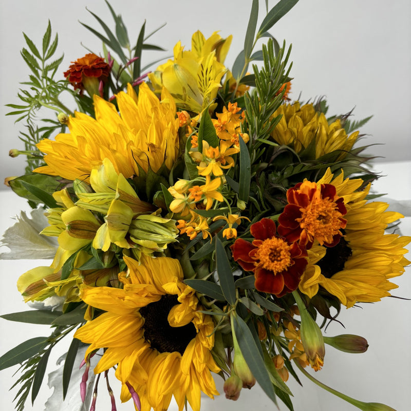 Magical Blooms – Jenny Barker The Flower Doctor